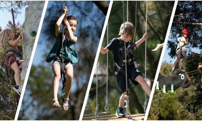 Schedule online with Boneo Discovery Park on Booking.page