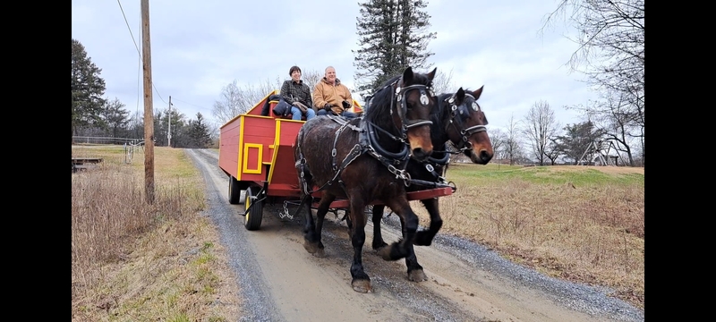 Schedule online with Water Wheel Carriages on Booking.page
