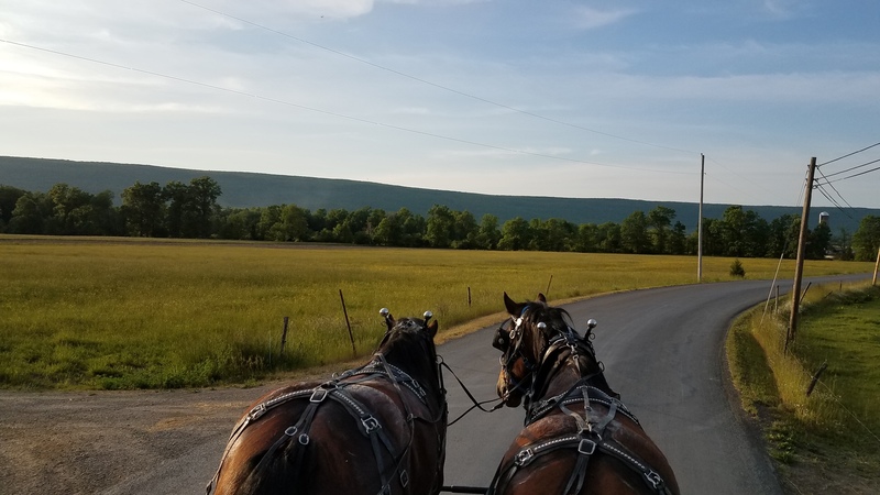 Schedule online with Water Wheel Carriages on Booking.page