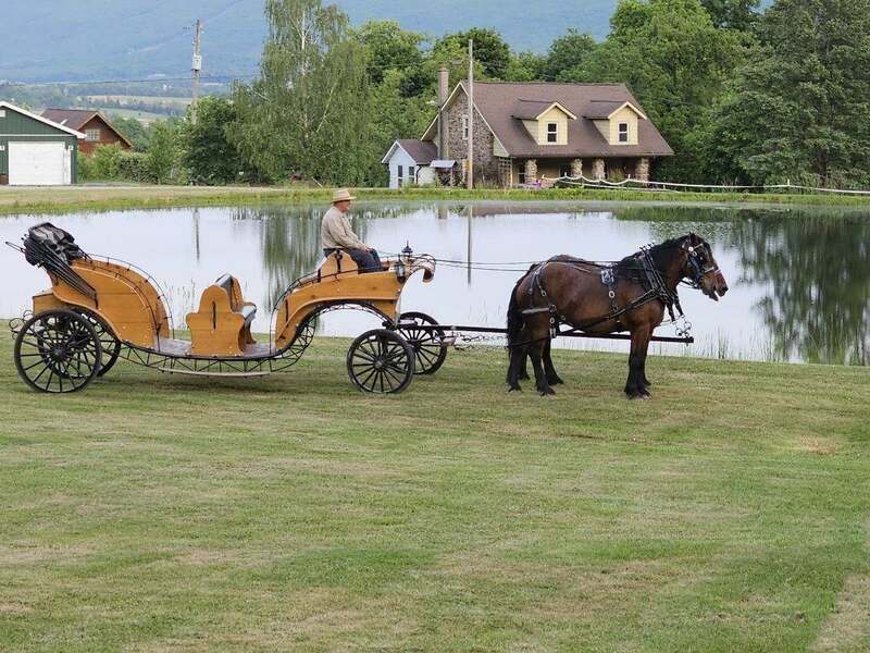 Schedule online with Water Wheel Carriages on Booking.page